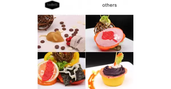 Buy Foodbot S2 Multifunctional Chocolate Food 3D Printer | 3DPrintersBay